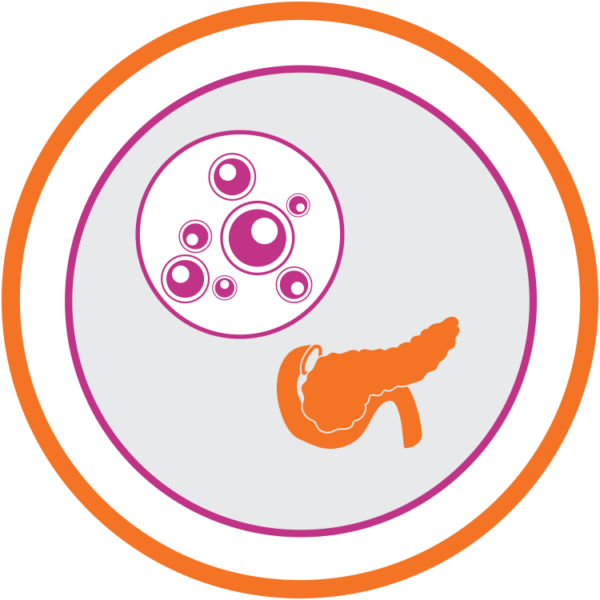 Islets transplant - Transplant Australia