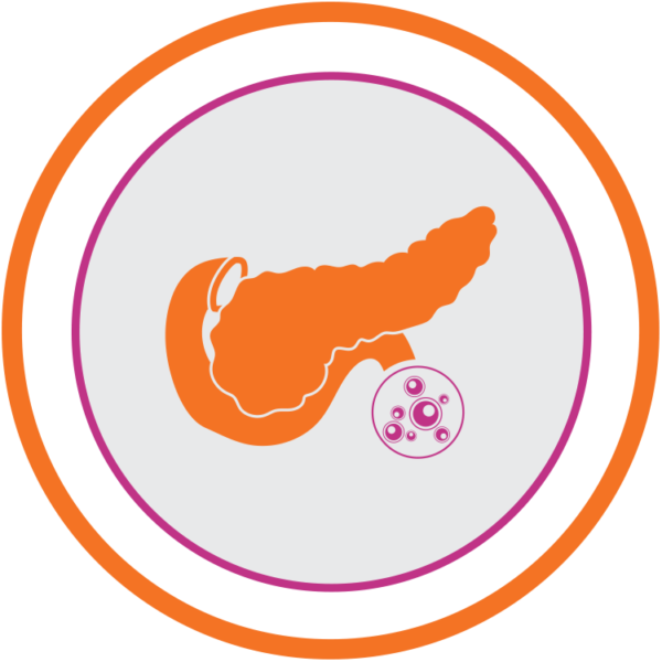 Pancreas transplant - Transplant Australia
