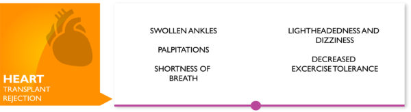 Rejection heart - Transplant Australia