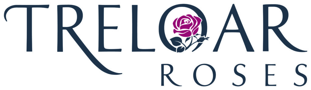 Thank You Rose - Transplant Australia